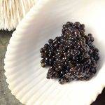 Hackleback Sturgeon Black Caviar, Pasteurized (56g) - Fish & Caviar ...
